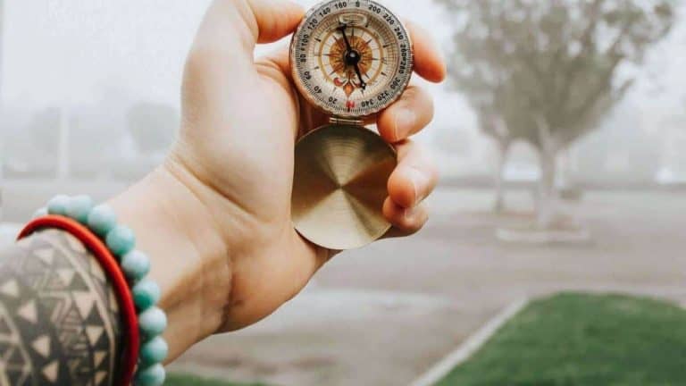 Donde vs Adonde - Differences & Uses in Spanish - Tell Me In Spanish