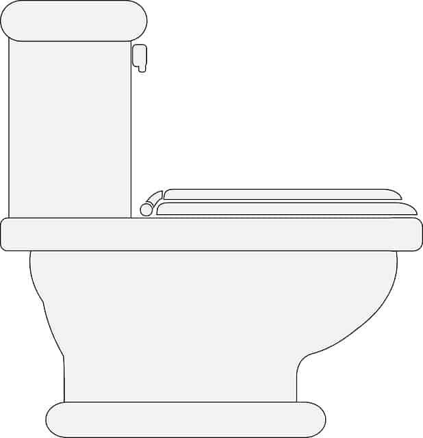 Essential Spanish Bathroom Vocabulary [90+ Words & Verbs] - Tell Me In ...