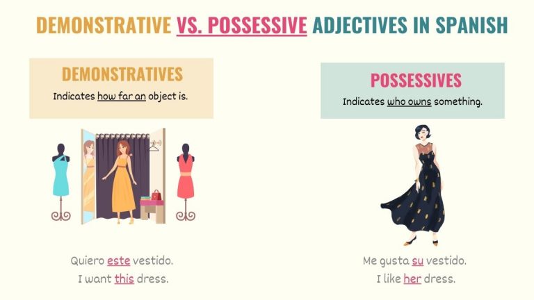 Spanish Possessive Adjectives: A Simple & Definitive Guide