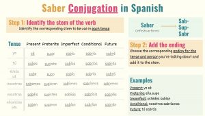 How to Use Saber vs Conocer: Chart, Examples & Common Uses