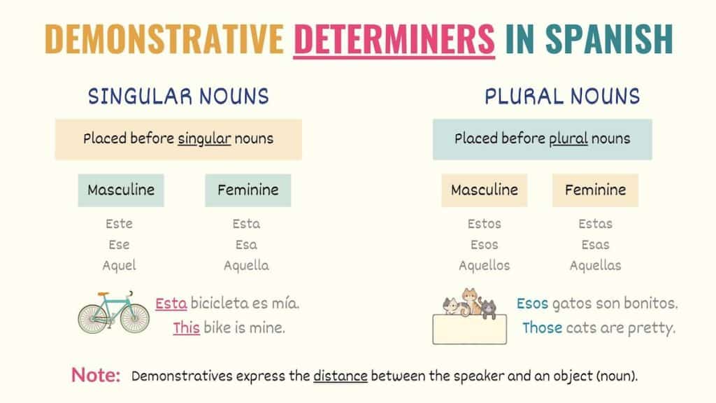 Spanish Determiners 101: Articles, Possessives & More
