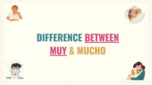Muy vs Mucho: Key Differences Explained (+ Examples)