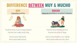 Muy vs Mucho: Key Differences Explained (+ Examples)